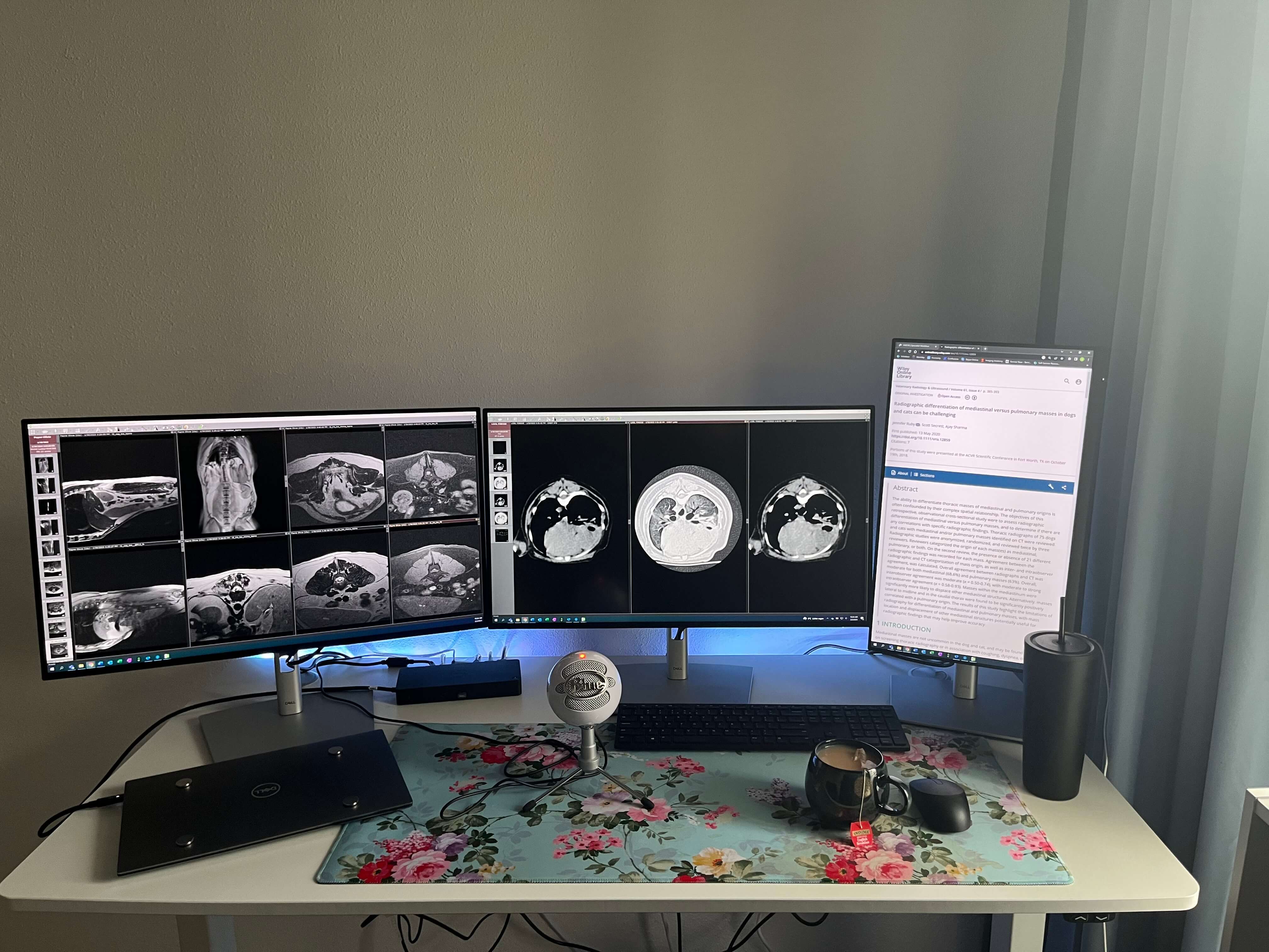 Cone Beam CT is on the Rise in veterinary medicine